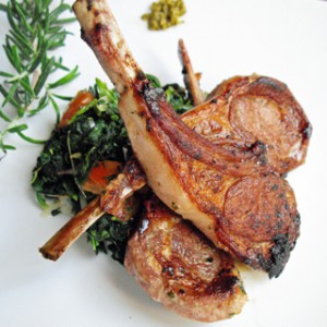 Stock Fleeces Products Placings Lamb Contact News & Notes