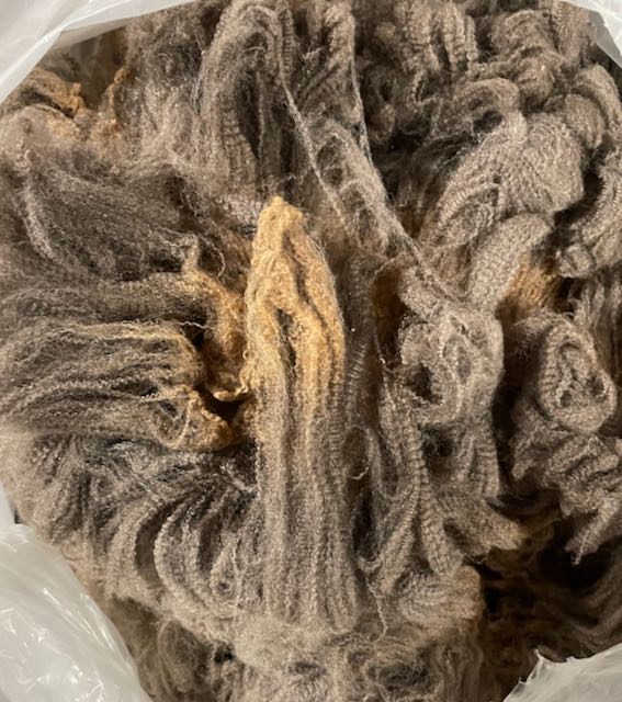 Black Sheep Farm © 2022. All Rights Reserved.